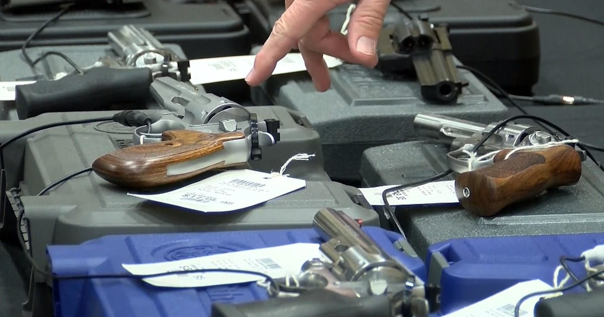 House passes 1st major gun control bill in 2 decades