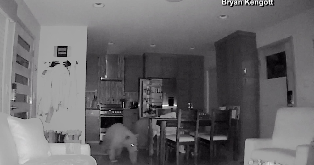 TODAY headlines: Bears ransack California cabin