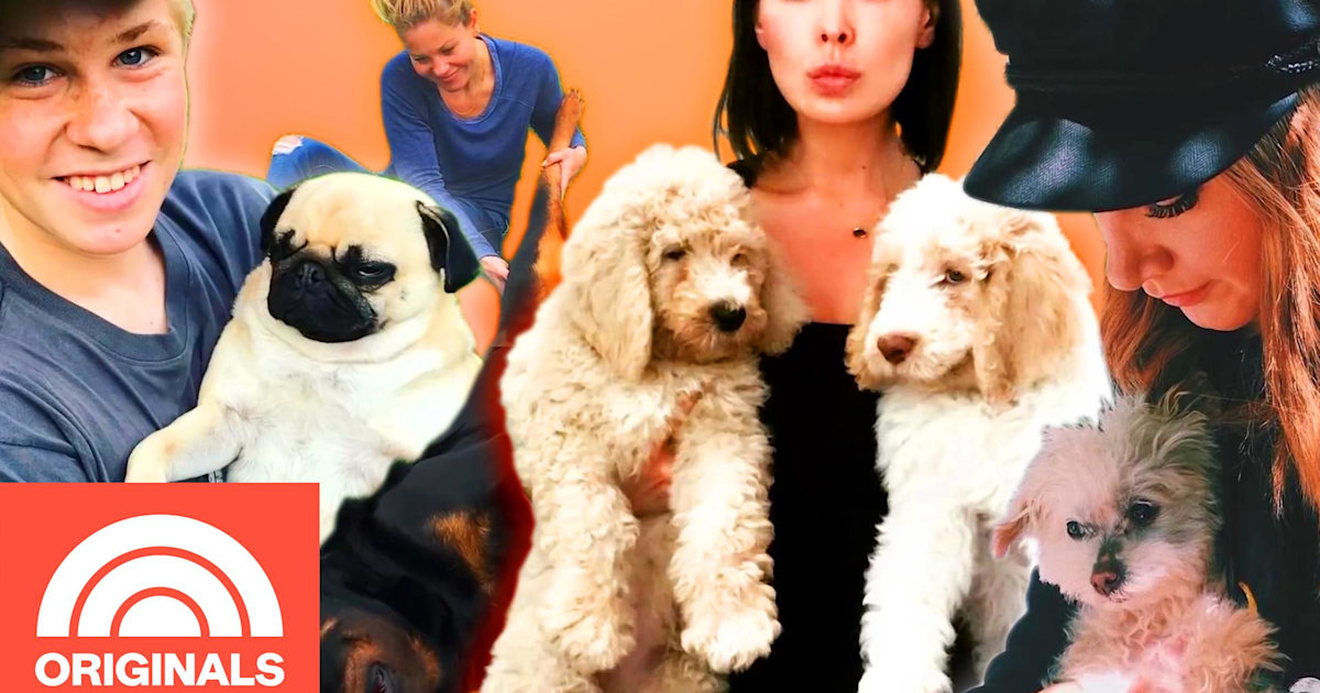 Top 5 Celebrity Pet Tales With Candace Cameron Bure, Bindi & Robert ...