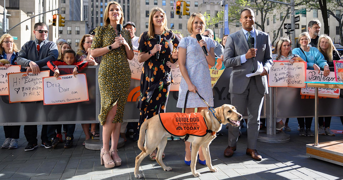 Sunny handles his guide dog training like a pro