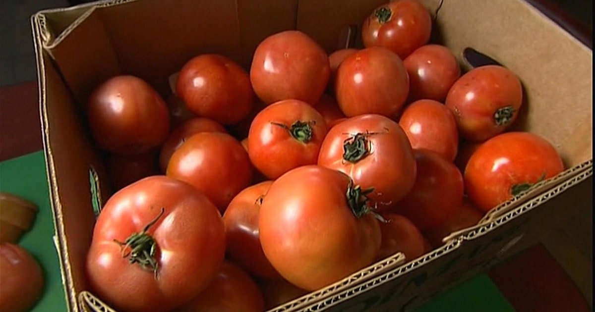 Tomato prices set to skyrocket after Mexico trade dispute