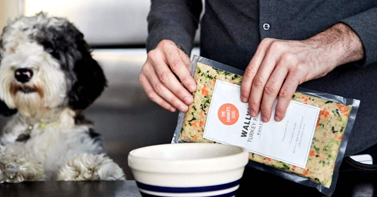 Gourmet pet food? Why your dog’s meals are getting an upgrade