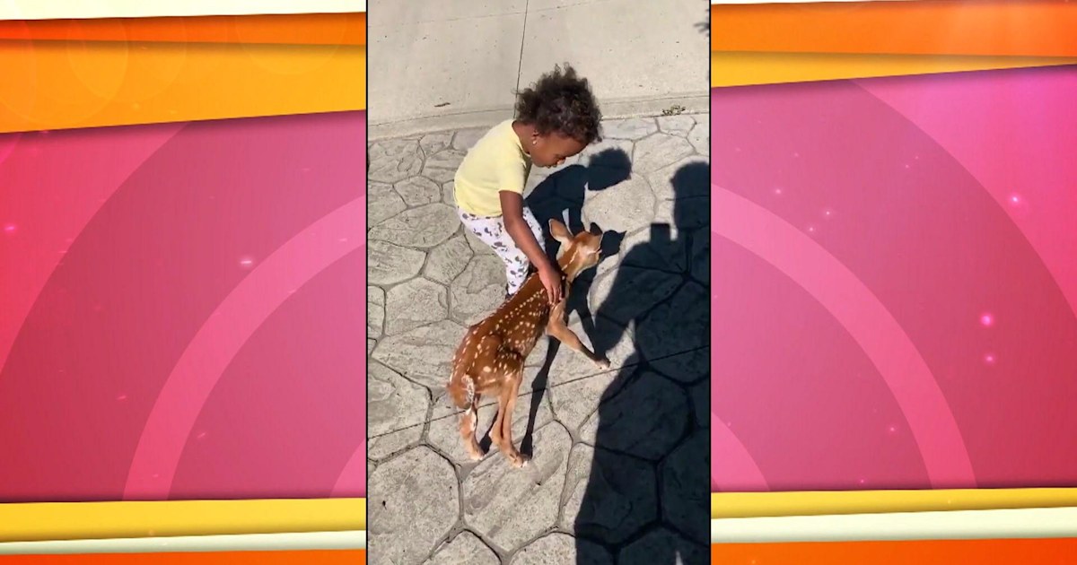 Watch: NFL player’s young daughter befriends a baby deer