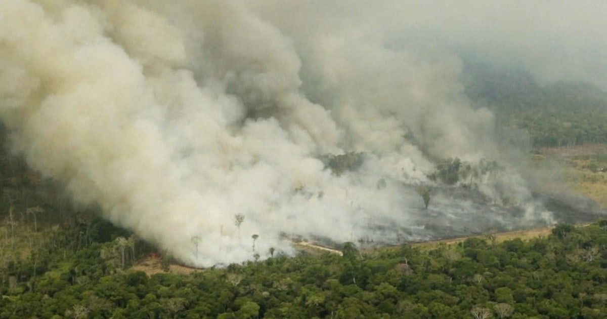 Amazon wildfires: US company helps as world leaders weigh in