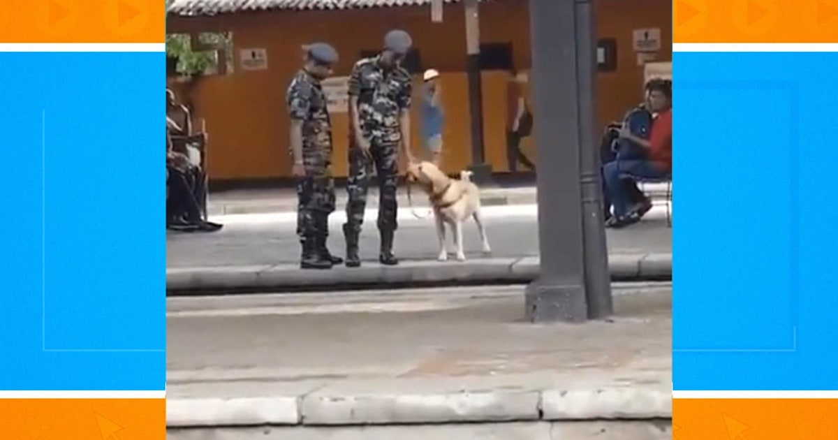 Watch dog’s cute reaction to getting a break from work