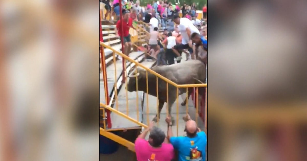Bull jumps into stands, injuring dozens of spectators