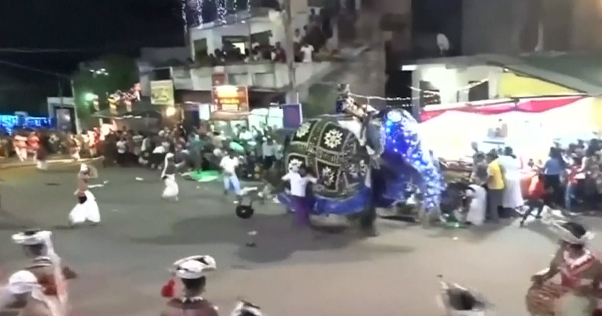 Elephants rampage through festival crowd, injuring 17