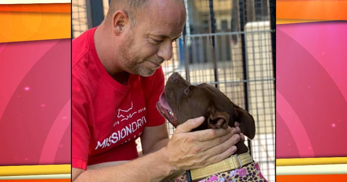Shelter dog gets royal send-off to new forever home