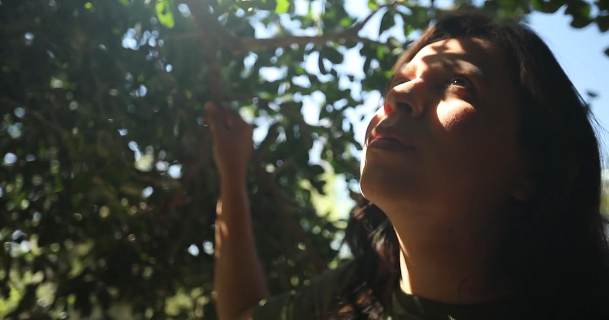 These California residents are fighting climate change, 1 tree planting ...