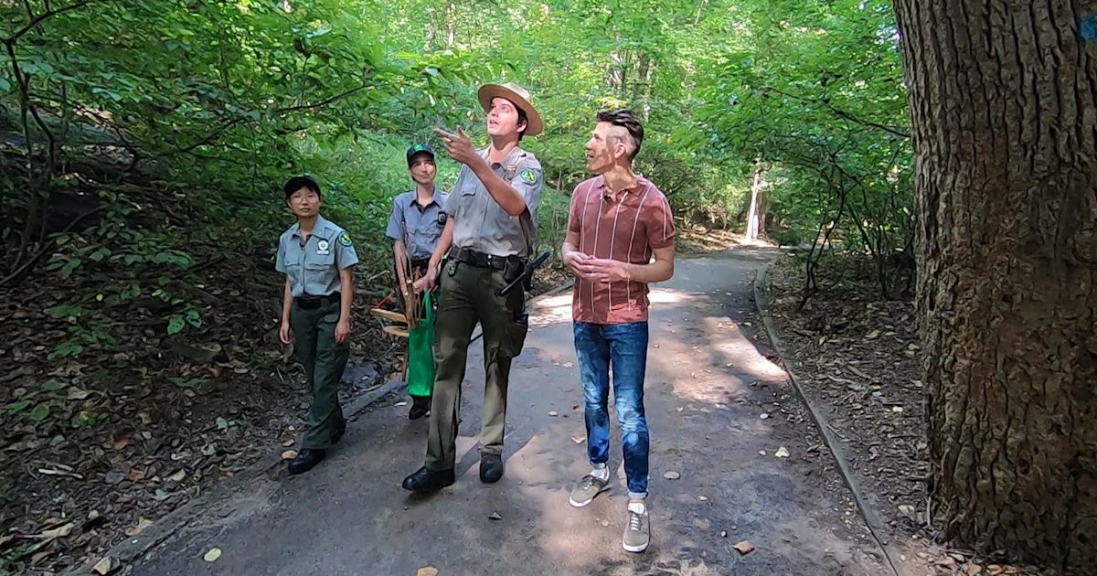 What it takes to be an urban park ranger