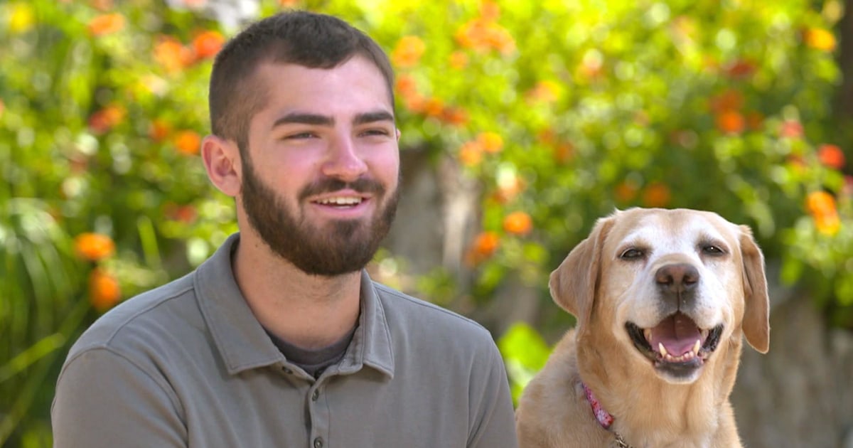 Meet the medical dogs detecting diseases and saving lives