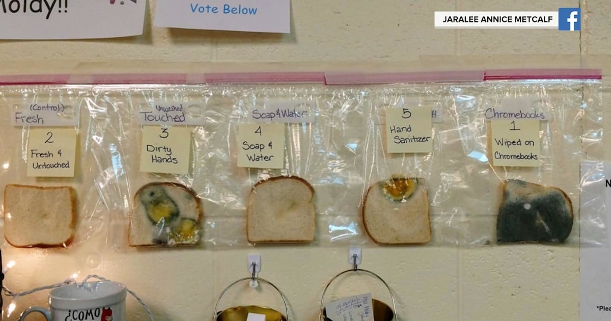 School experiment shows students importance of hand-washing