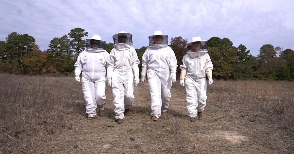 How 4 Texas girls rescued a bee colony and built a business