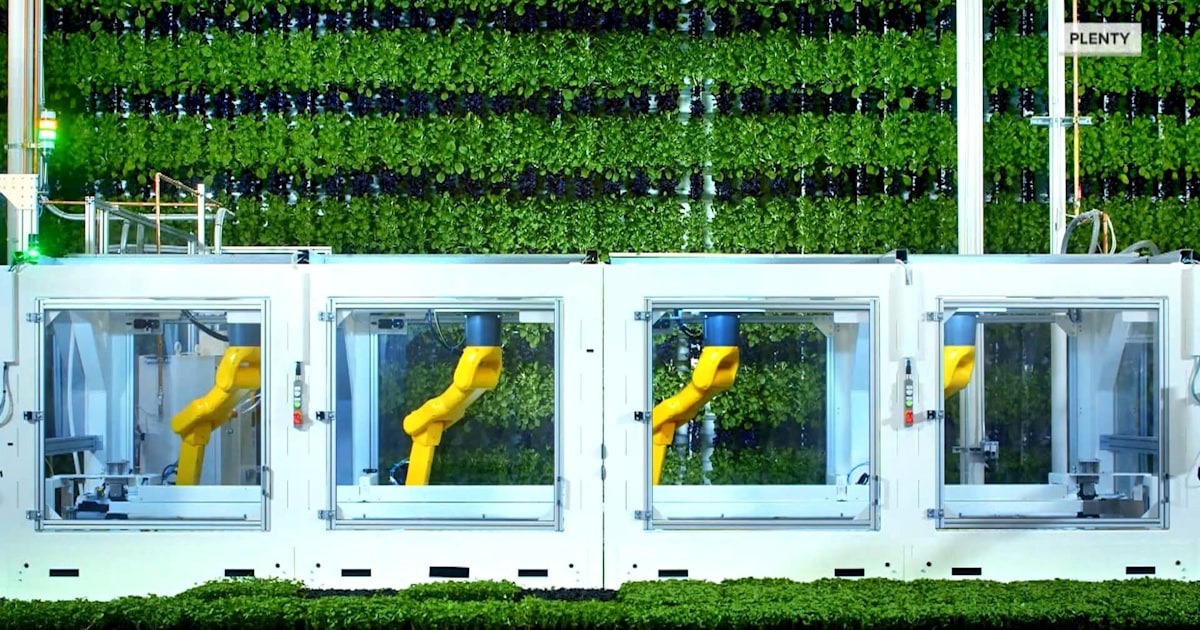 How indoor farm Plenty is changing the way we grow produce