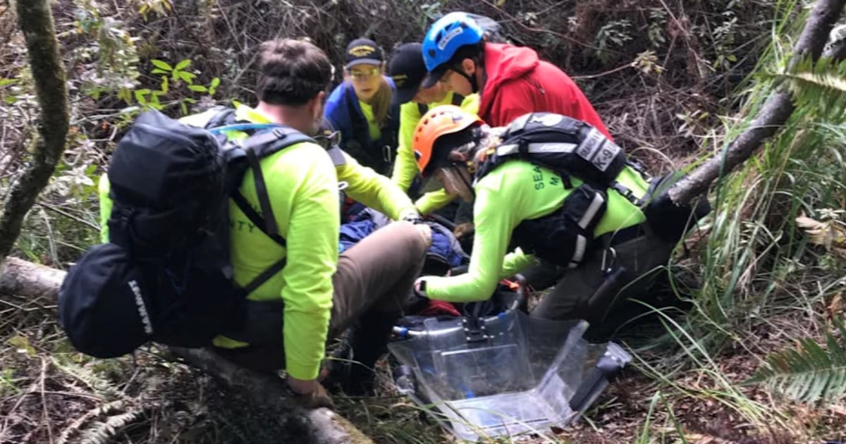 Couple found after being lost outside San Francisco for a week