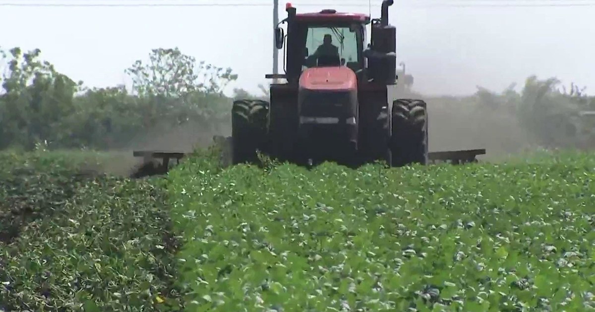 Farmers struggle with surplus crops amid coronavirus outbreak