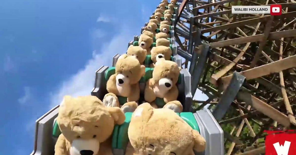 Watch 22 oversized teddy bears go for a roller coaster ride
