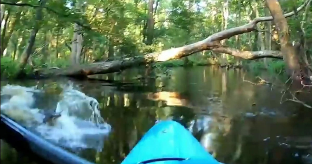 Video captures kayaker’s scary encounter with alligator: TODAY’s headlines