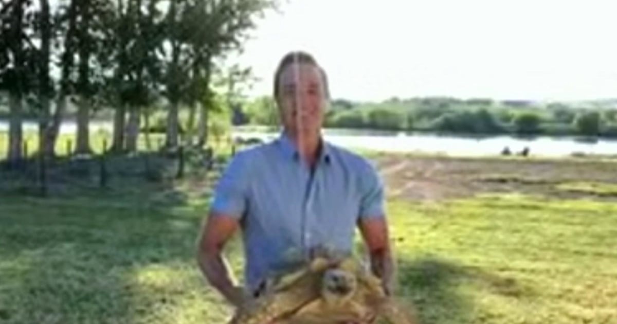 Learn about amazing animals that love the summer heat