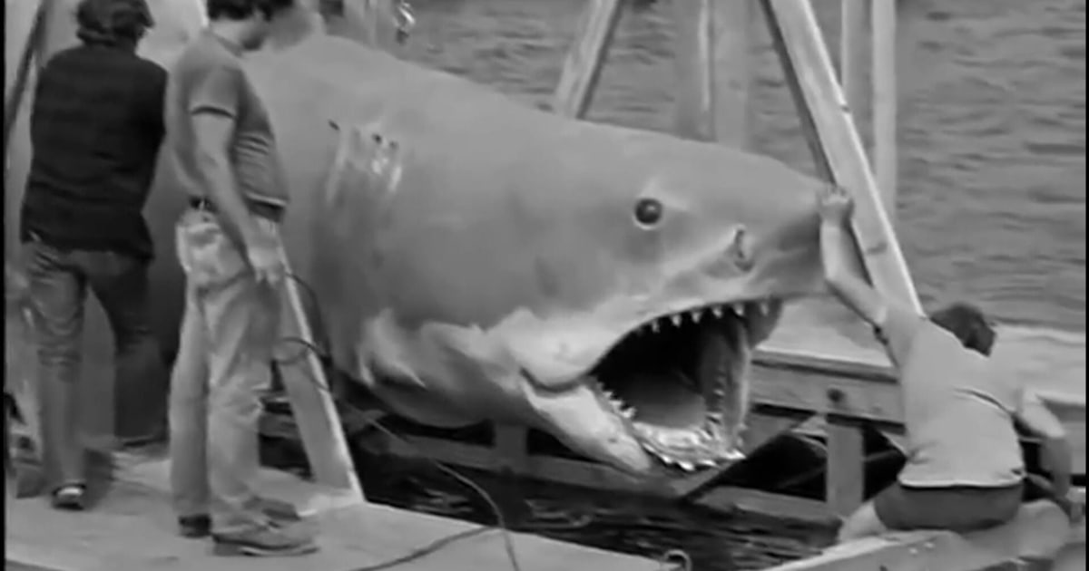 ‘Jaws’ still takes a big bite of popular culture after 45 years