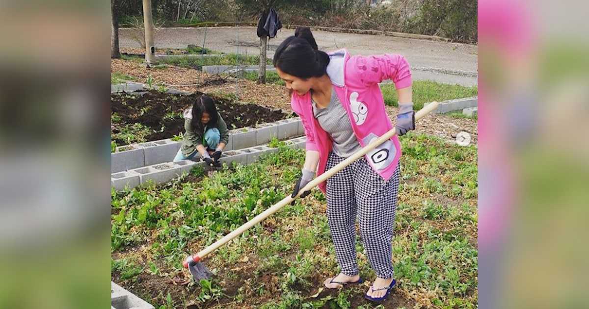 Community garden in Seattle provides sanctuary for refugees