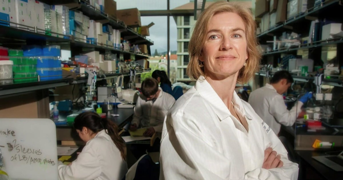 Americans win Nobel Prizes in chemistry, physics and medicine