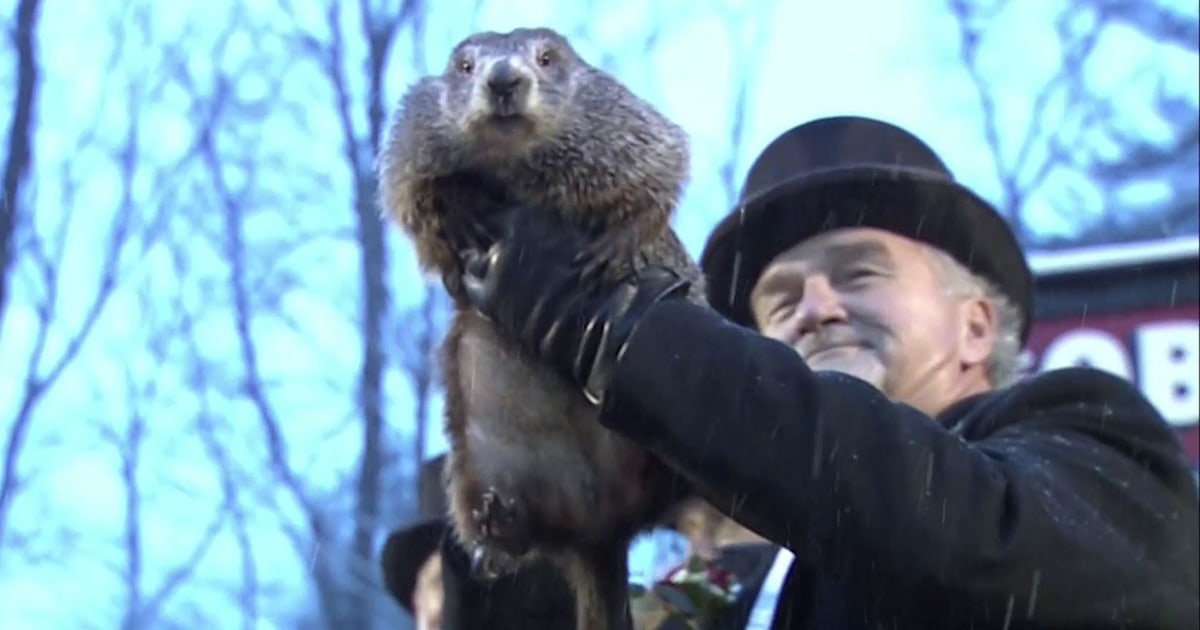 Punxsutawney Phil will do Groundhog Day virtually next year