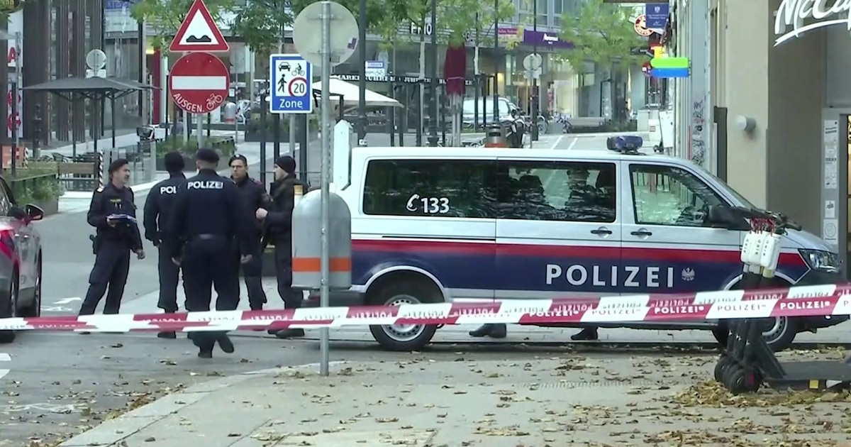 Vienna gunman terror attack leaves at least 5 dead, 17 wounded
