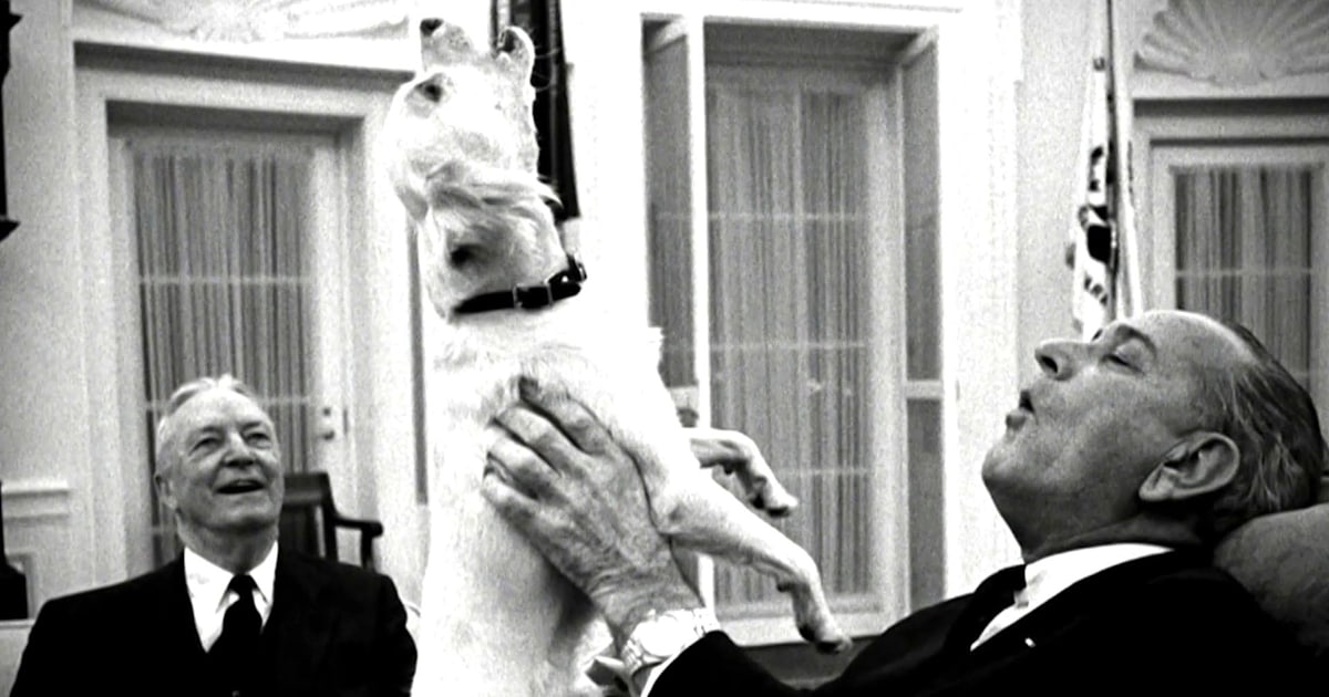 Look back at the history of White House pets