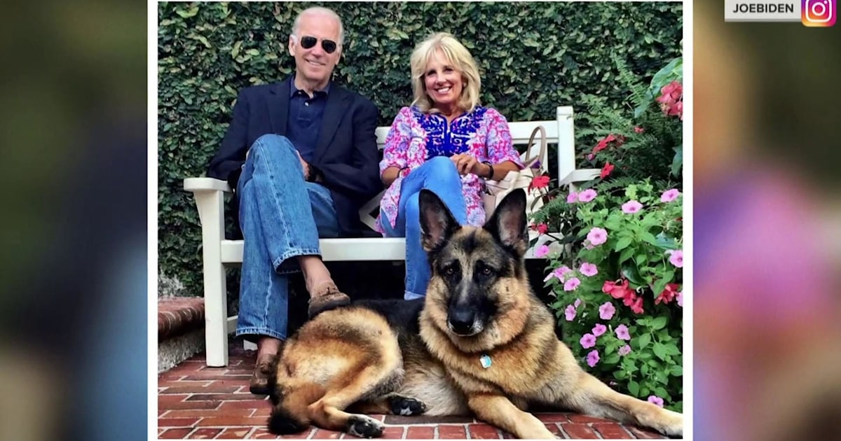 Presidential pets get a new leash on life from the Bidens