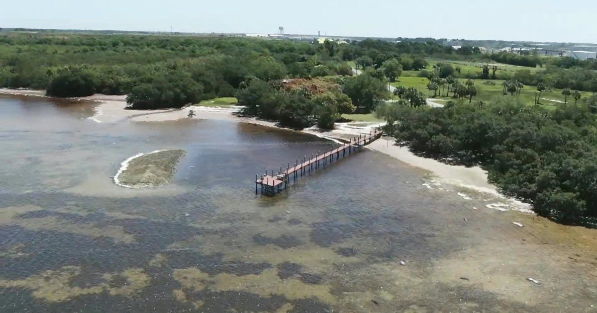 Florida toxic water evacuations continue