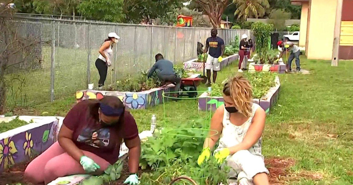 Earth Day: Cities across country celebrate