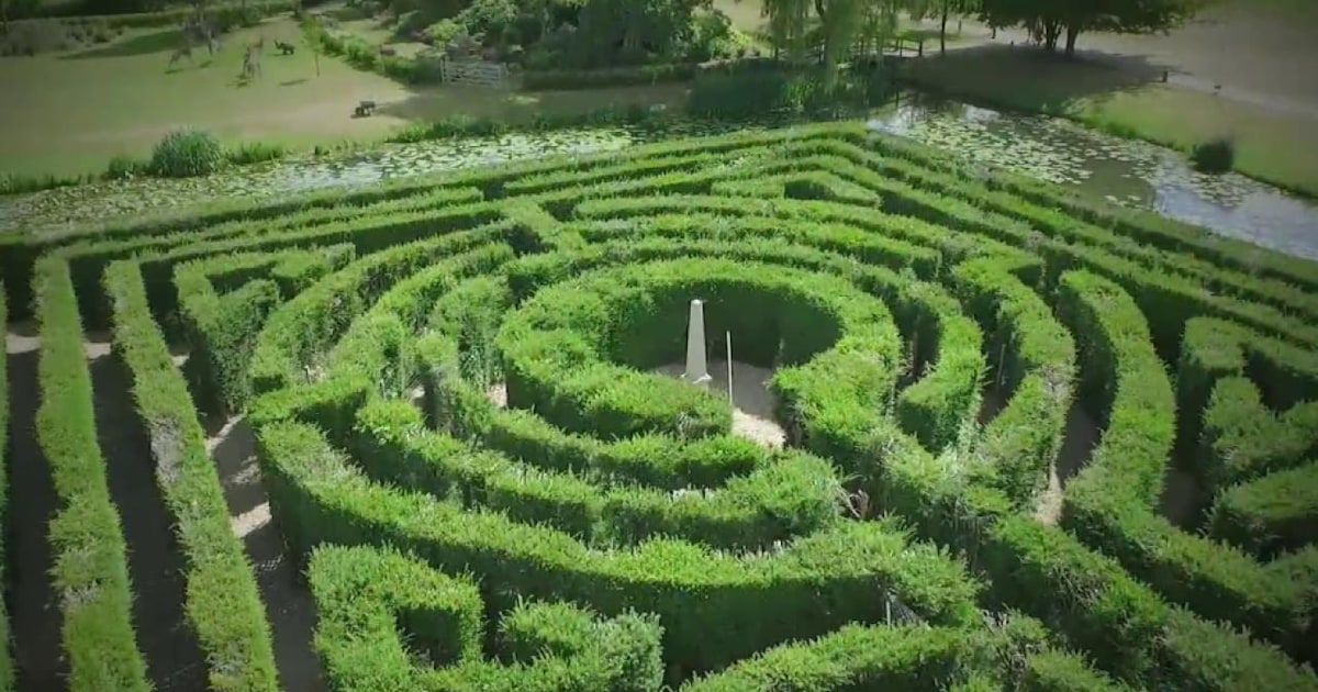 A hedge maze, a reflex test: Could you solve these ‘Brain Games’?