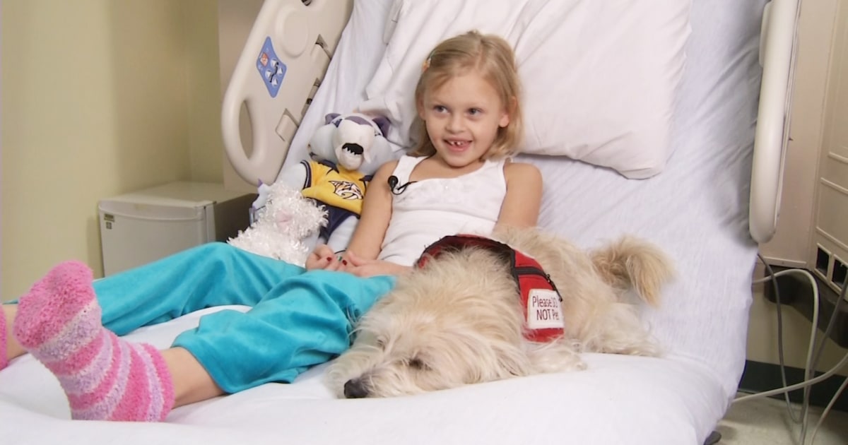 'Little angel': Rescue dog helps doctors monitor girl during surgery