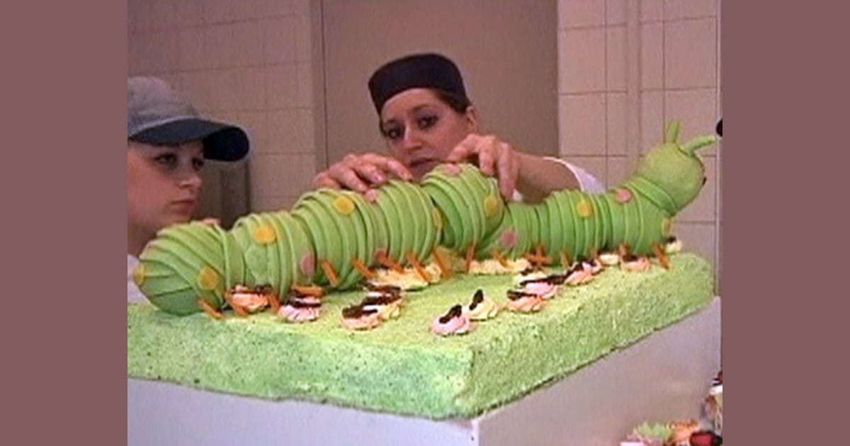 New cook book offers insect recipes