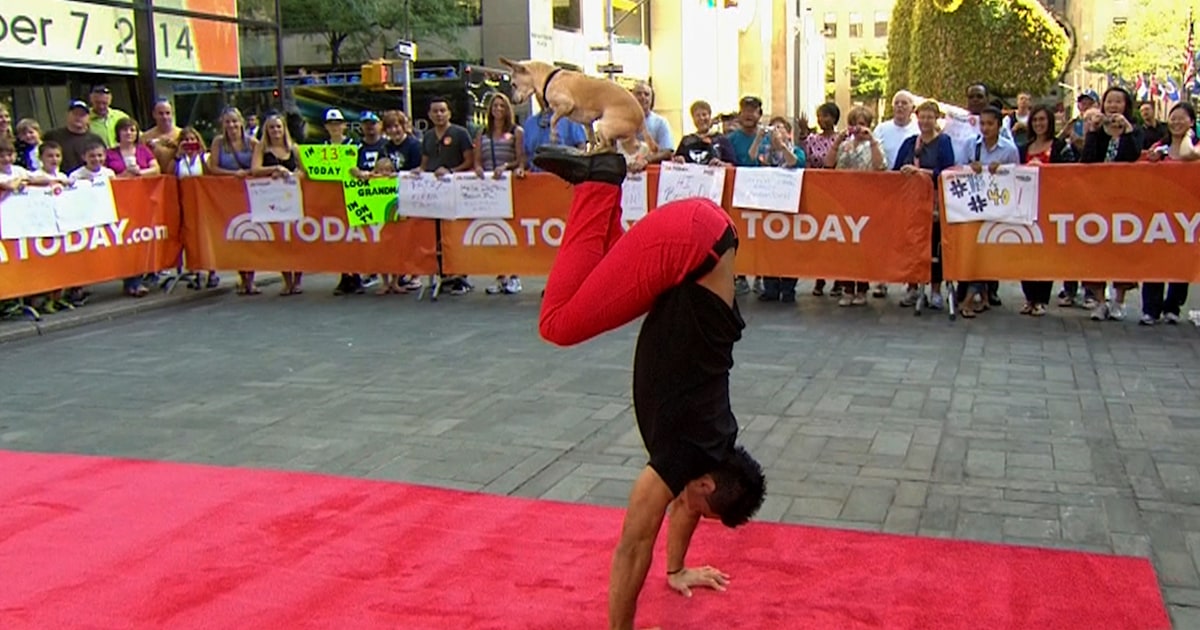 'America's Got Talent’ acrobat-dog act visits the TODAY Plaza