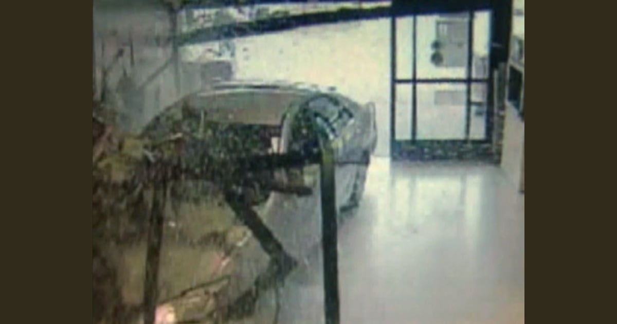 Car smashes through store window