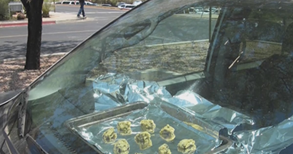 Hot enough for you? Cookies bake on car’s dashboard