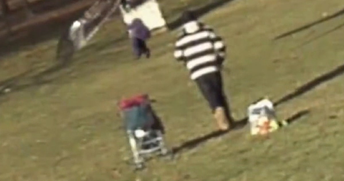 Students behind fake eagle video explain technique