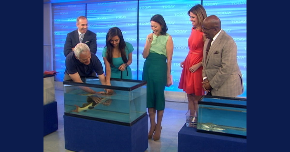 Frightening fish visit TODAY