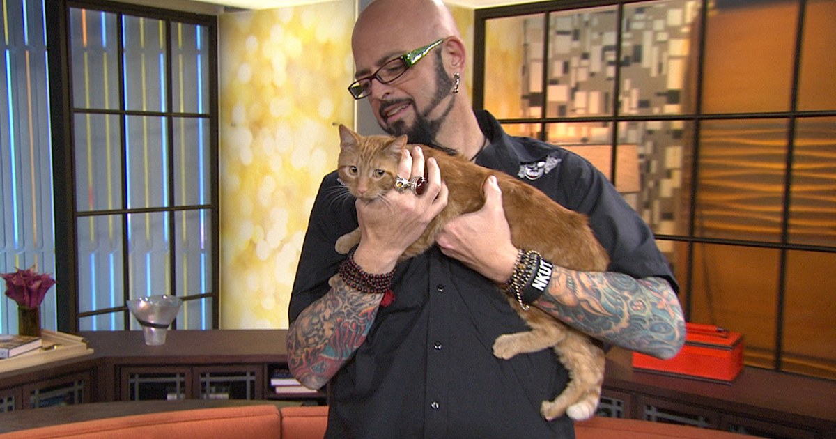 Meow! Cat expert tackles delinquent felines
