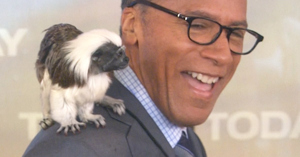 Monkey finds perch on Lester’s shoulder