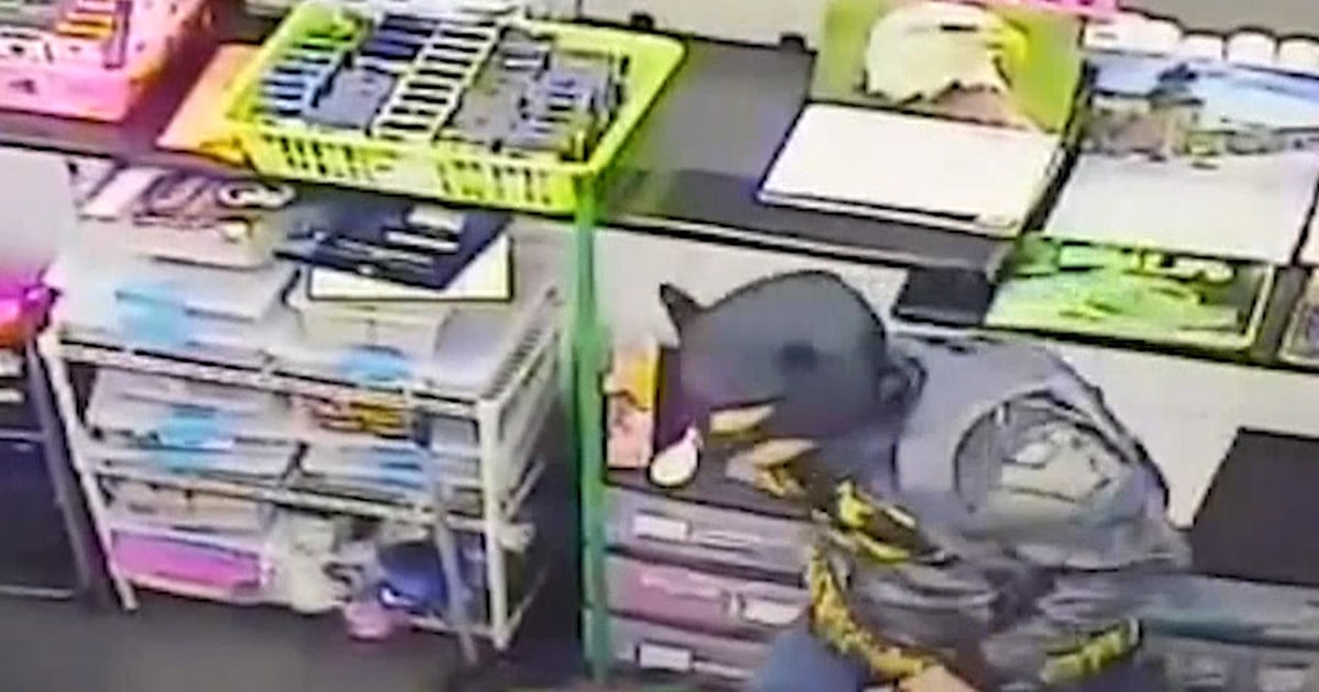 Man dressed as Batman robs 2 dollar stores
