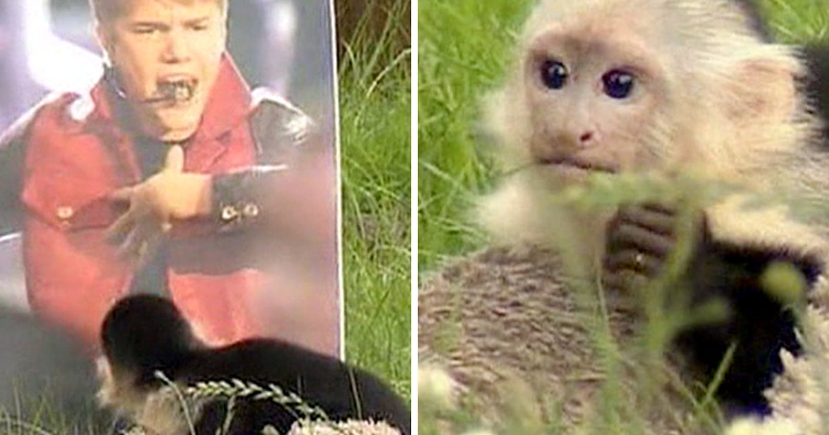 Justin Bieber’s pet monkey has a new home