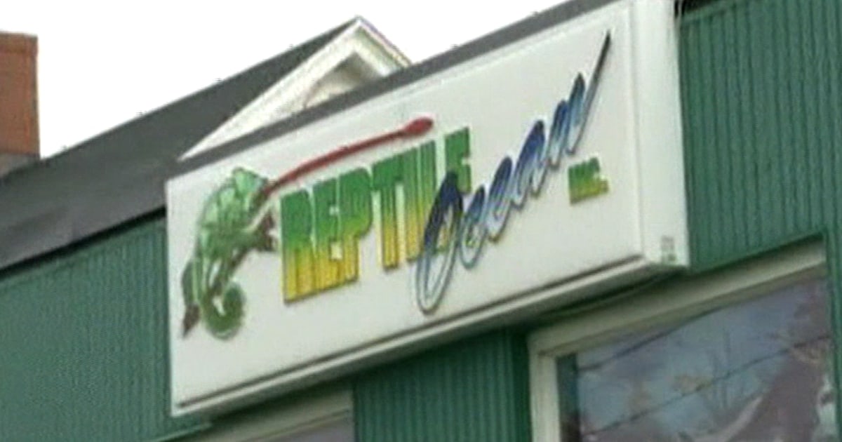 Escaped python kills two boys during slumber party