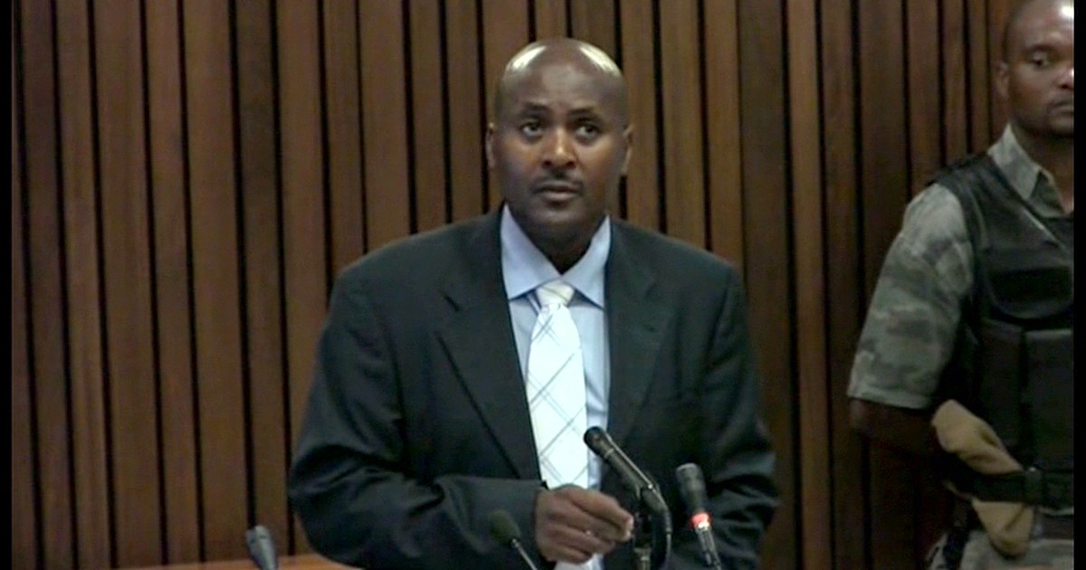 Expert: Steenkamp shot in ‘defensive’ position