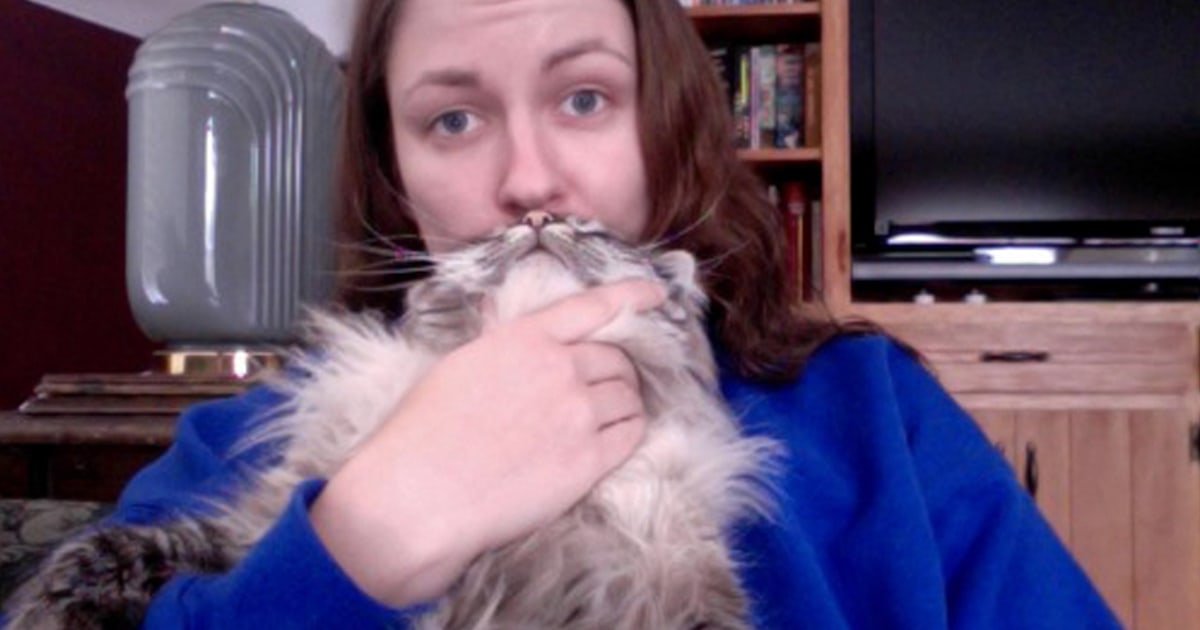‘Cat bearding’ goes viral online