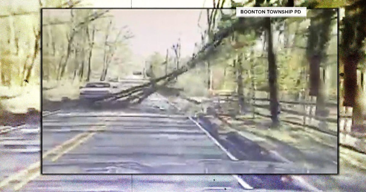 Truck collides with toppled tree during high winds in dramatic video
