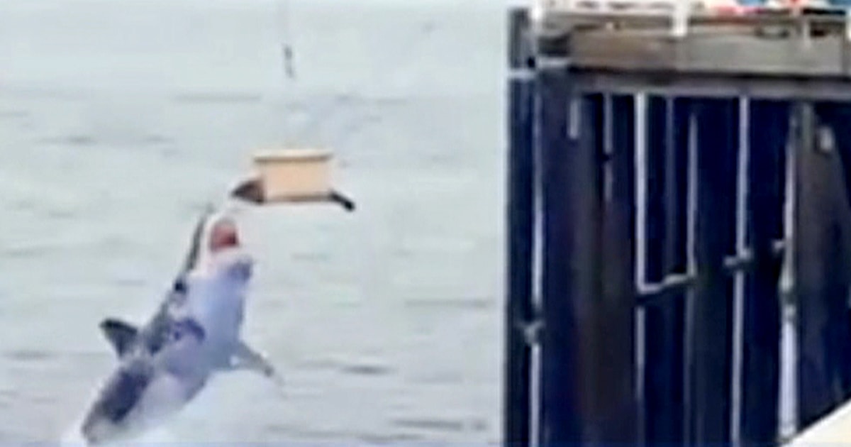 Startling ad for ‘Shark Week’ makes waves