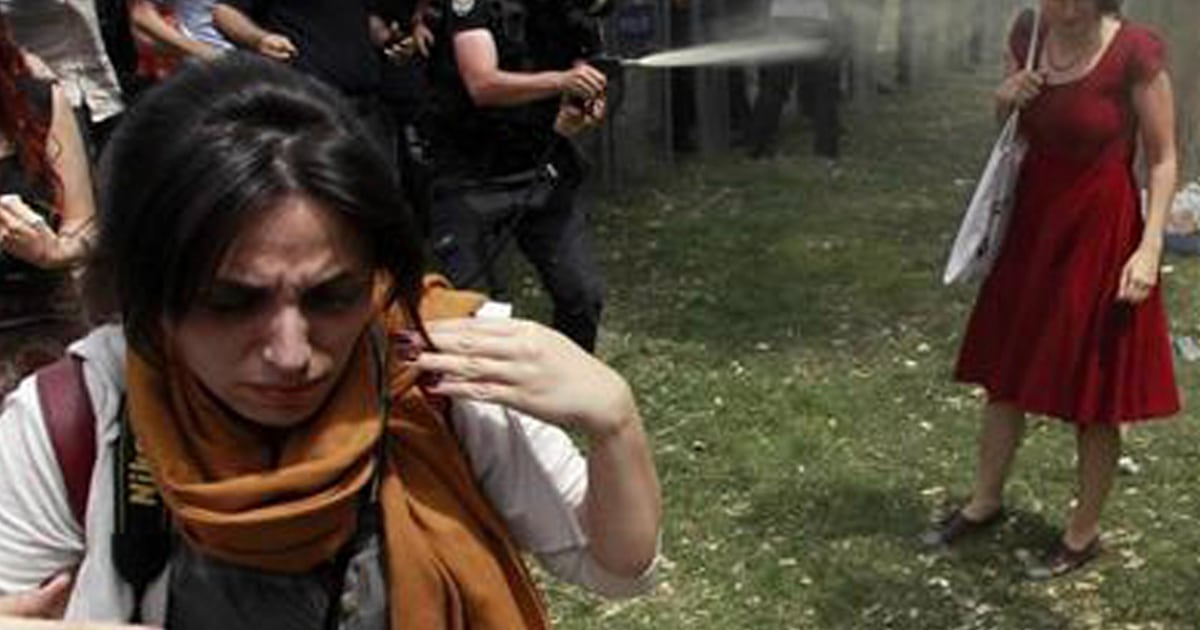 Woman in viral Turkish protest photo now a symbol